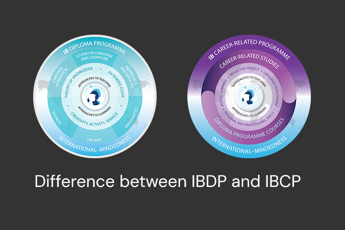 Difference between IBCP and IBDP